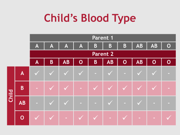 Inheritance of the ABO Blood Groups