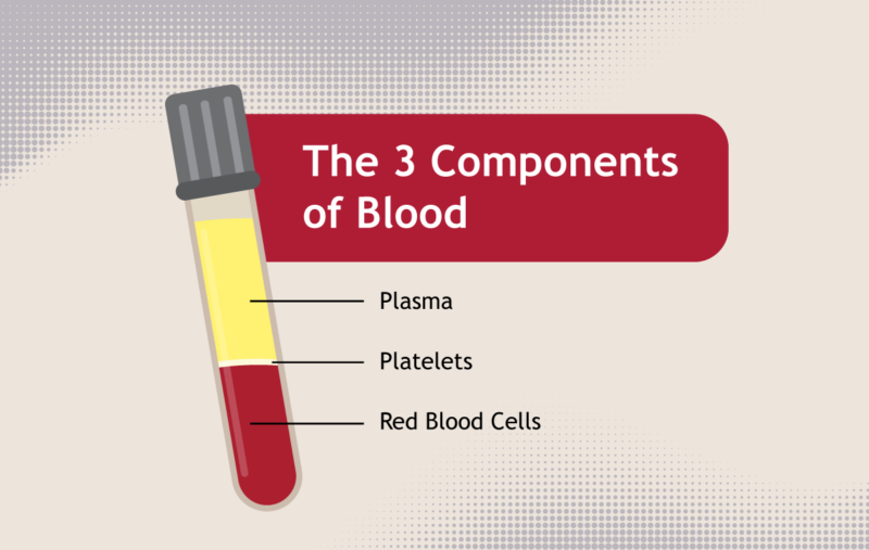 How One Blood Donation Can Save Up to Three Lives